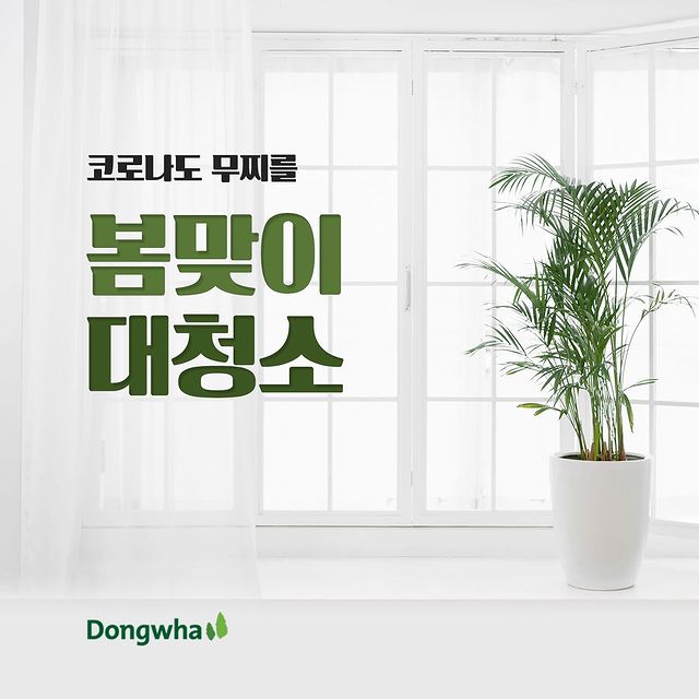 산뜻하고 기분 좋은 우리 집 봄맞이 대청소 꿀팁 동화자연마루
