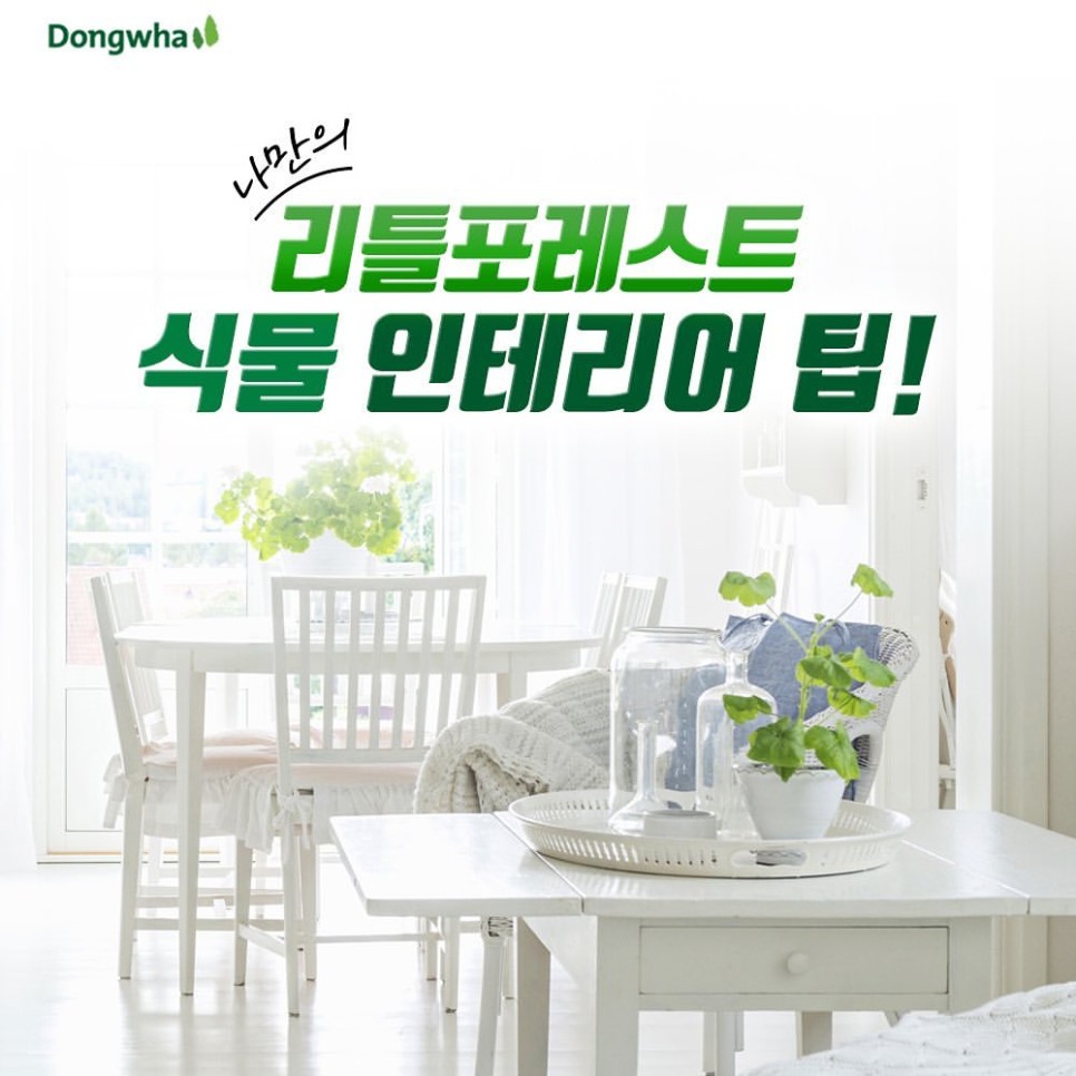 나만의 작은 리틀포레스트 식물 인테리어tip 동화자연마루